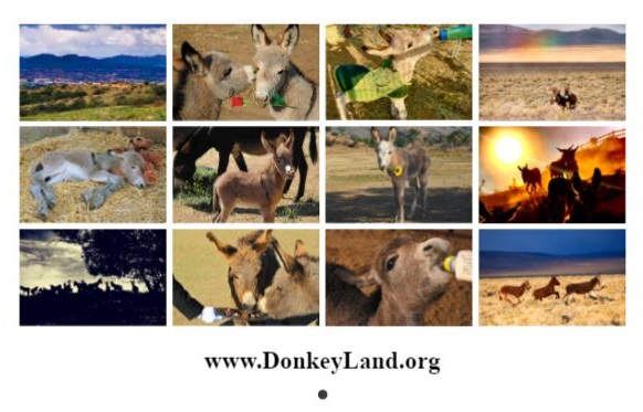 I Love DonkeyLand 2023 Wall Calendar – DonkeyLand Rescue