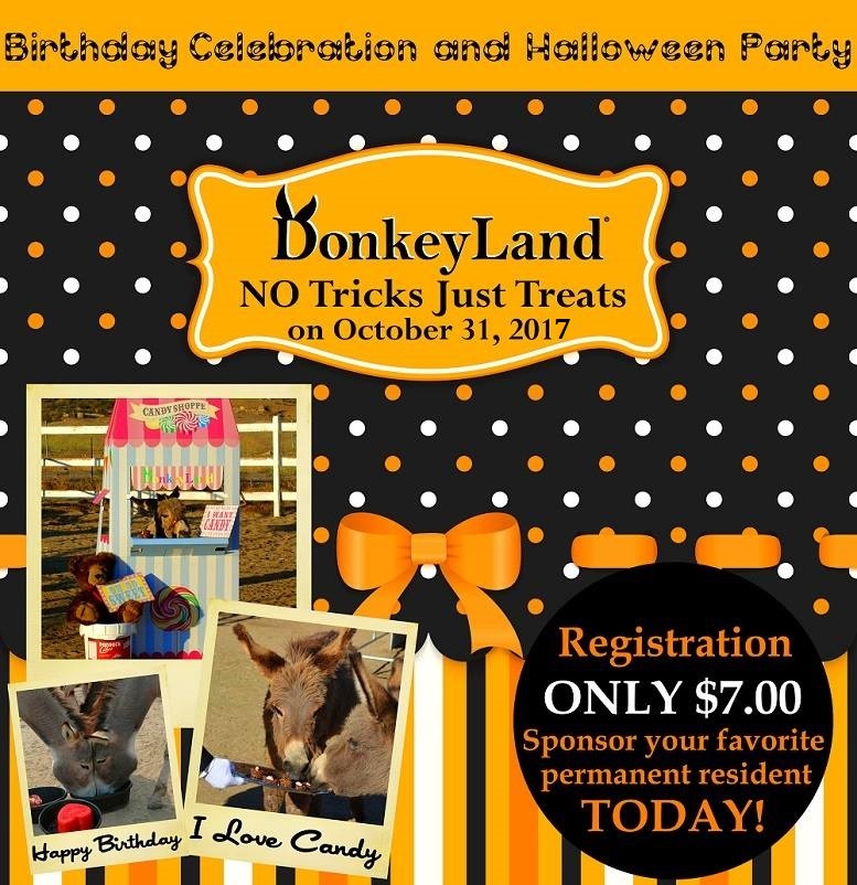 Enrichment Programz – DonkeyLand Rescue